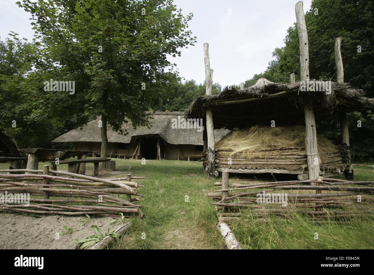 View of thatched house in forest, Germany Stock Photo - Alamy