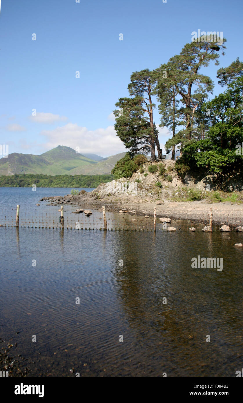 Derwentwater Friars Crag and Causey Pike Keswick Cumbria England UK ...