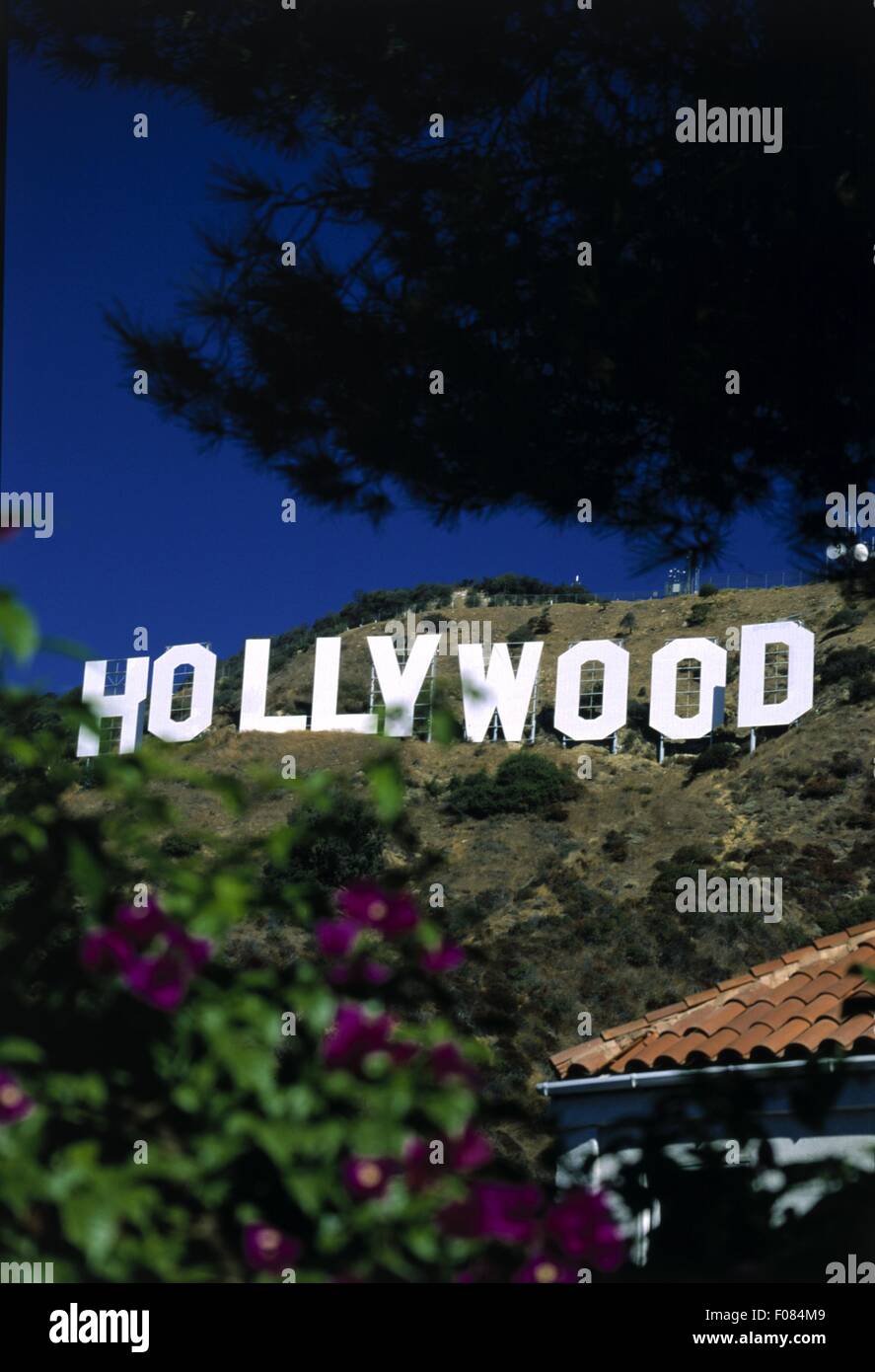 Low angle view of Hollywood Sign on hill in Los Angeles, California ...
