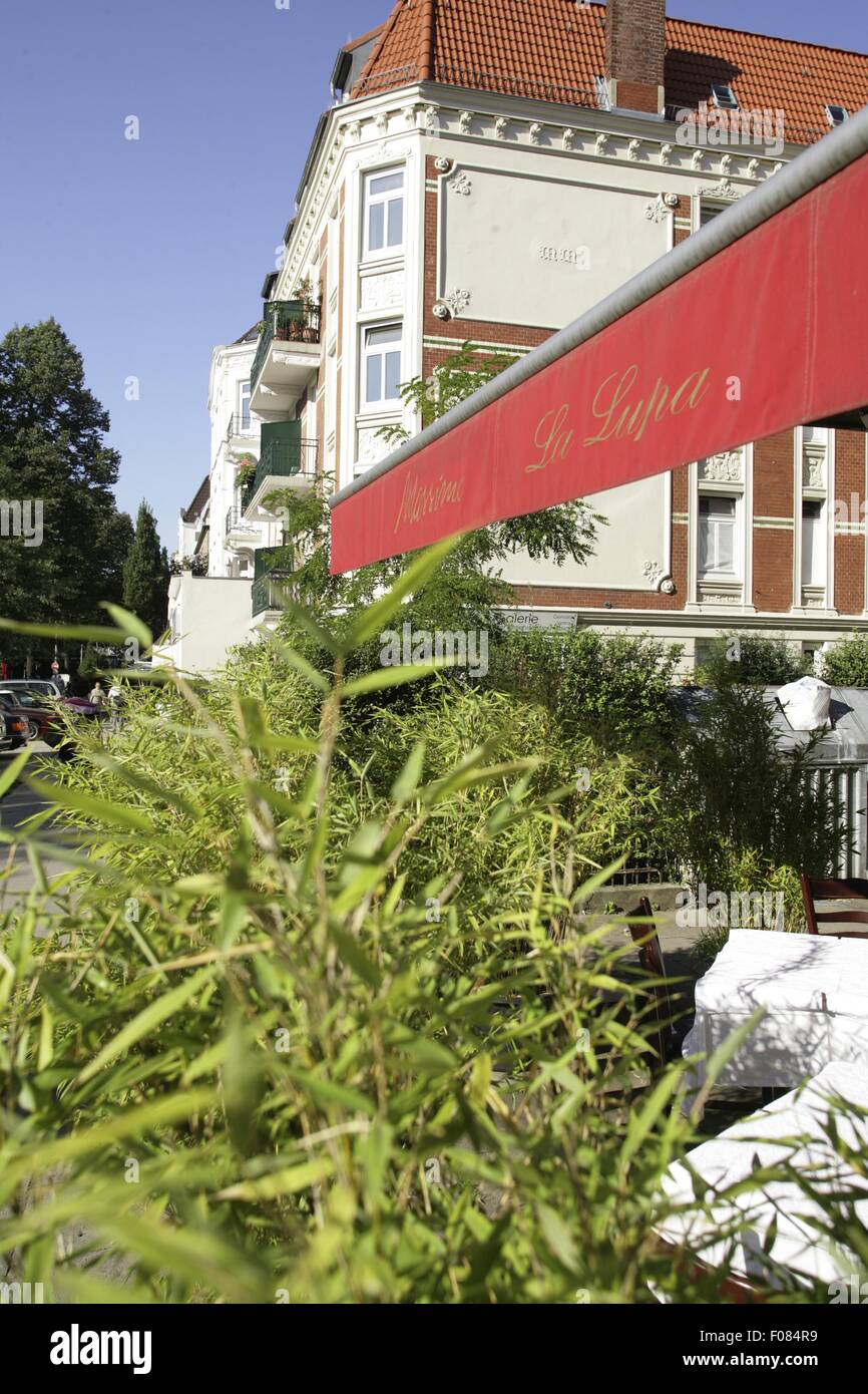Plants Outside Restaurant Germany Stock Photo Alamy plants-outside-restaurant-germany-stock-photo-alamy