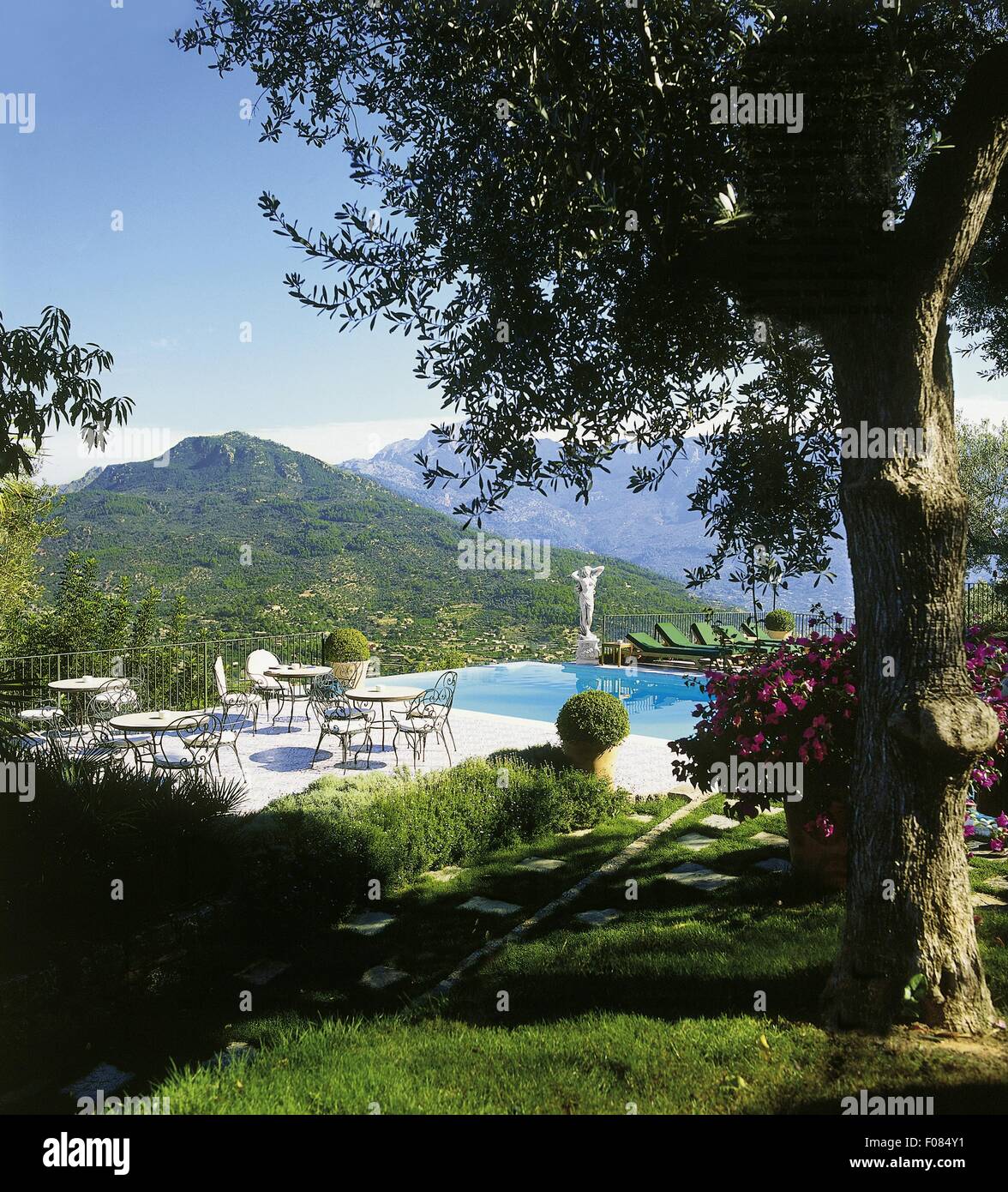 Shade of olive tree overlooking Laid tables by poolside Stock Photo - Alamy