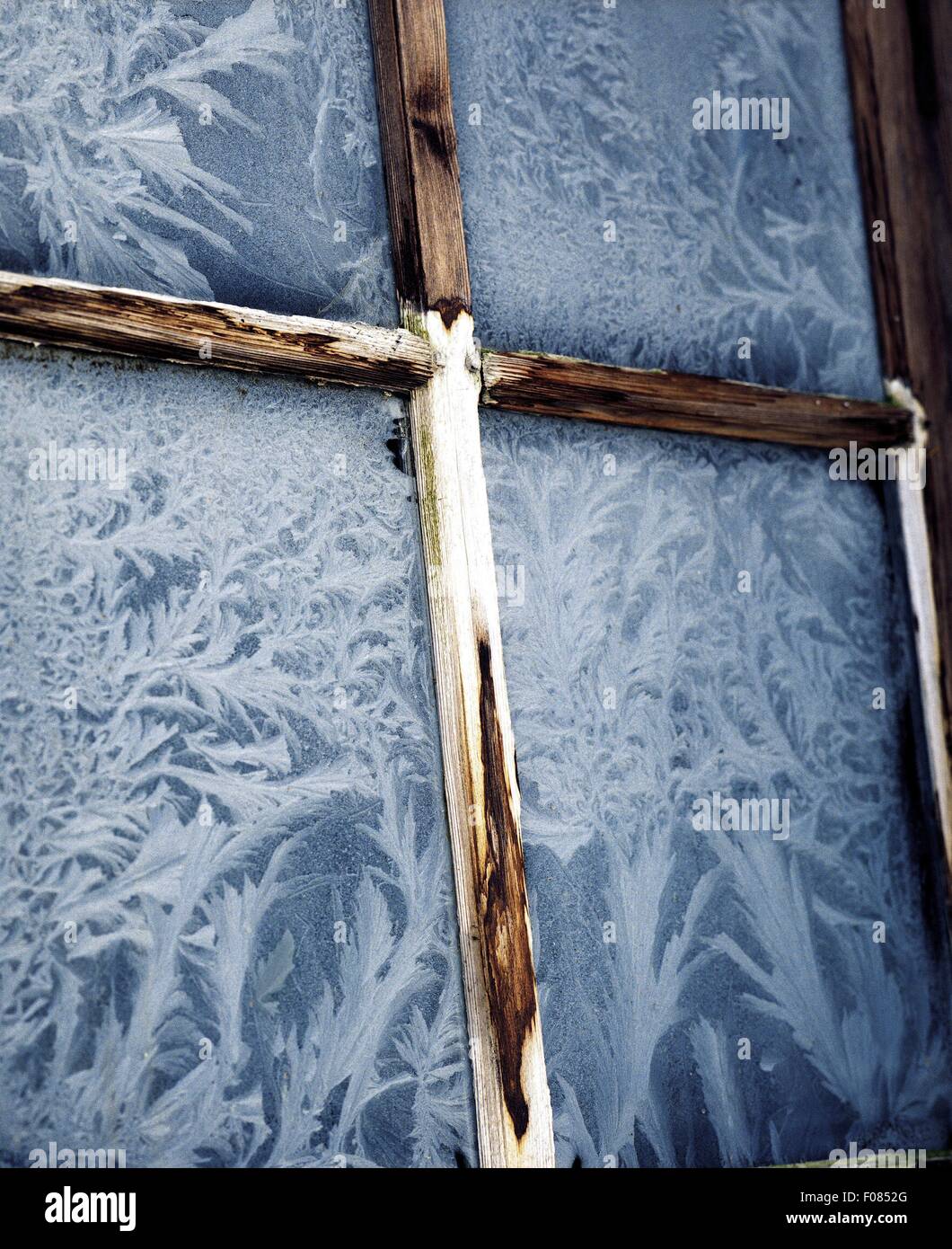 Wooden window with floral pattern wallpaper on glass Stock Photo - Alamy