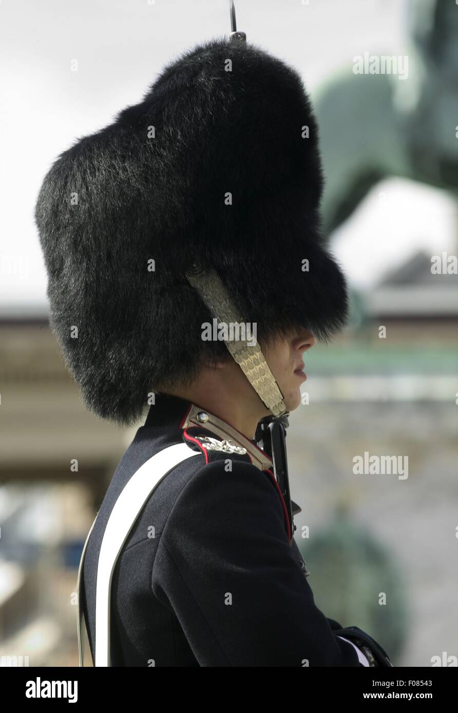 Side view of guard in front of Amalienborg Palace in Copenhagen Stock ...