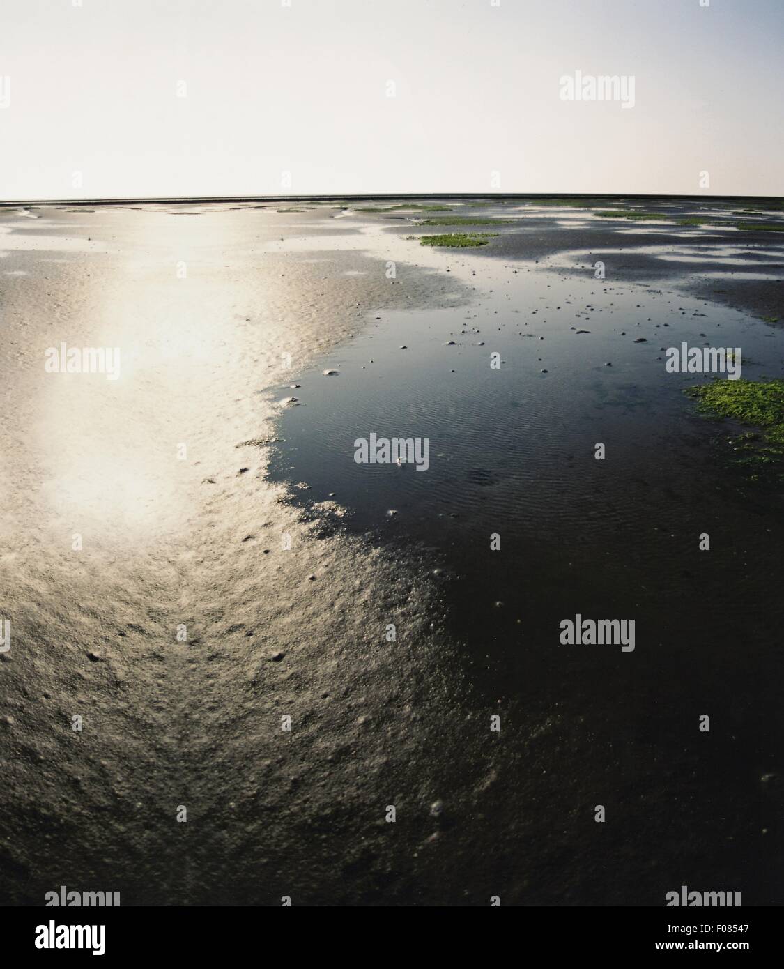 Land mud and sea hi-res stock photography and images - Alamy