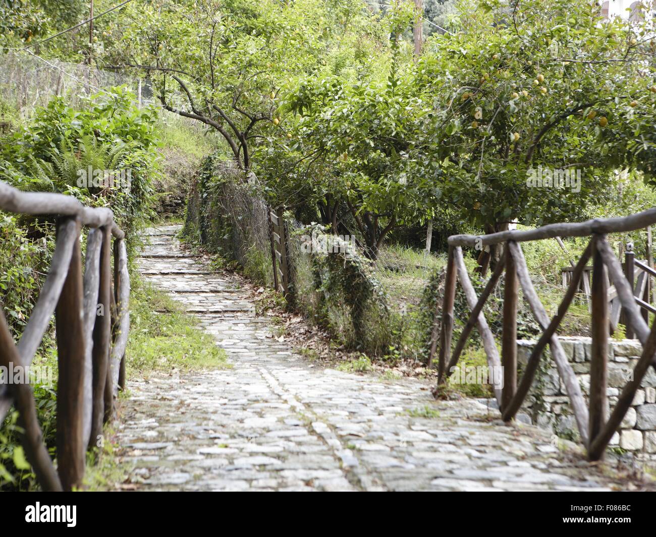 Stone bridge and path on Pelion Mountain, Eastern Magnesia, Greece ...