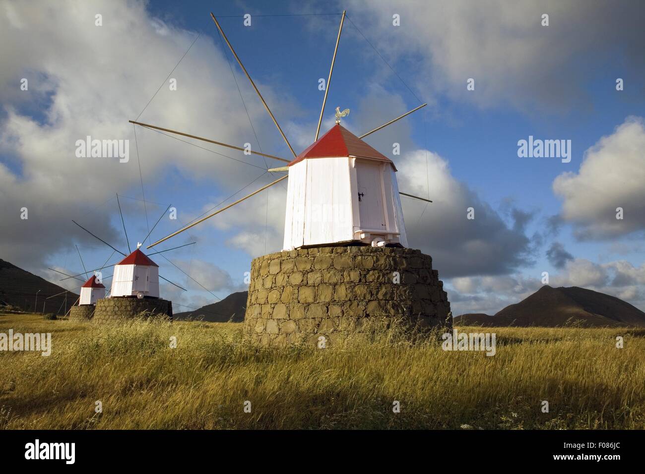 Windmills in a row on Porto Santo island, Madiera, Portugal Stock Photo ...