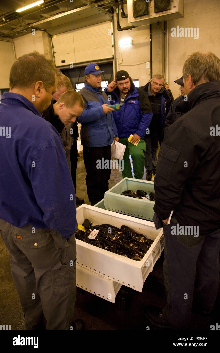 Sweden the fish hall at the fish hi-res stock photography and images ...