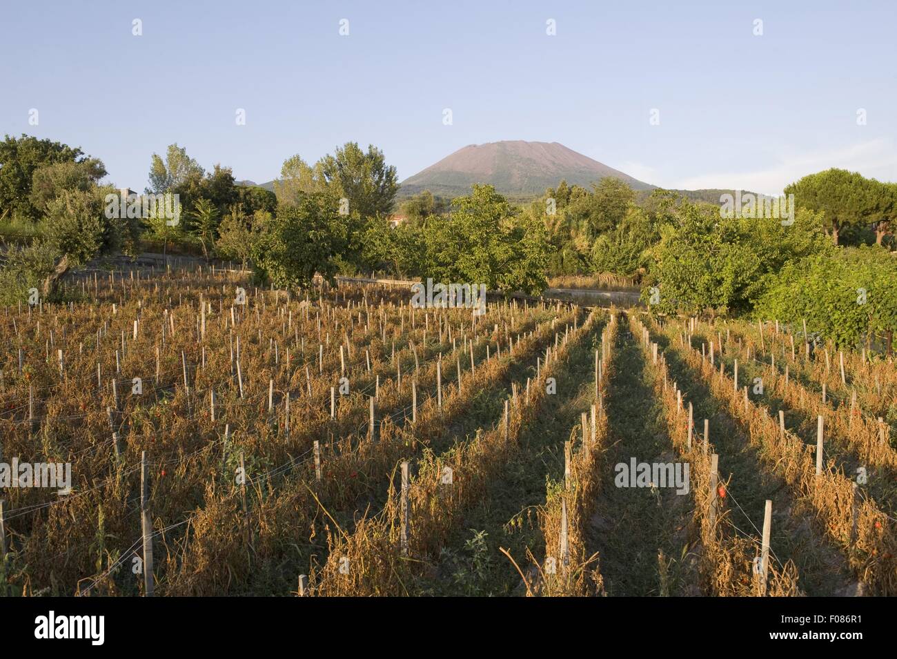 Vesuvius italy hi-res stock photography and images - Alamy