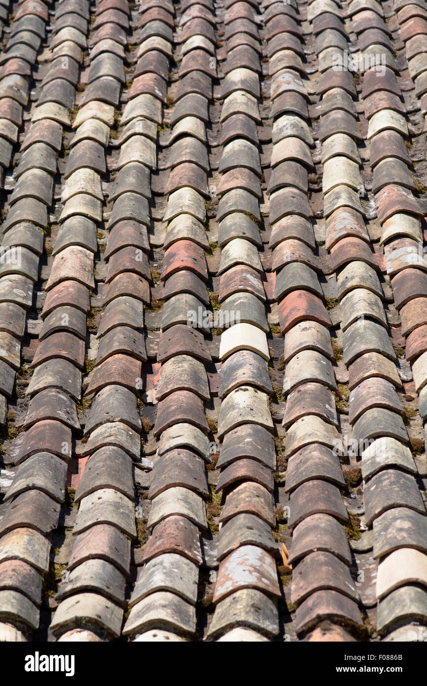 Curved roof on barn hi-res stock photography and images - Alamy