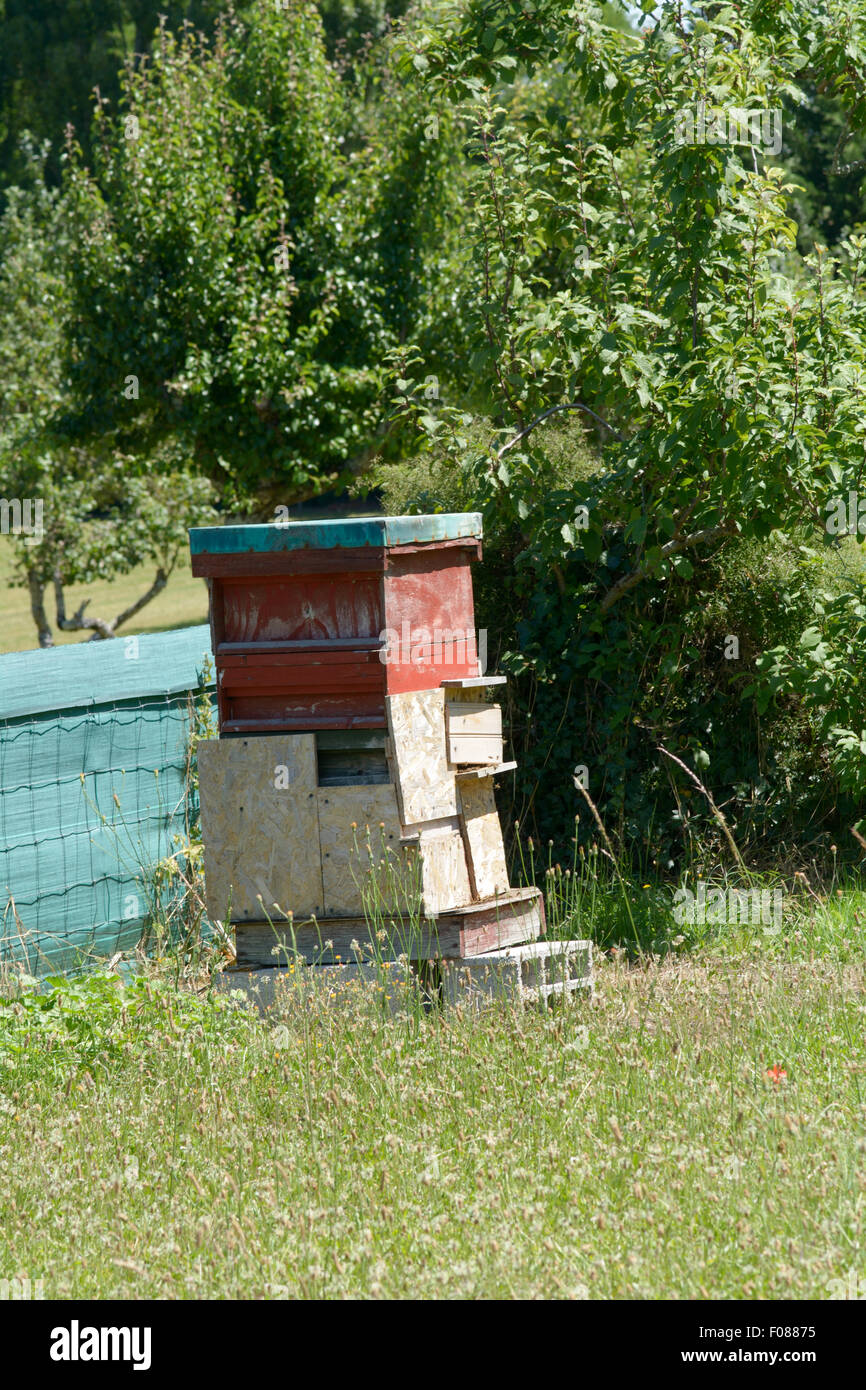 Bee hive in garden in hi-res stock photography and images - Alamy