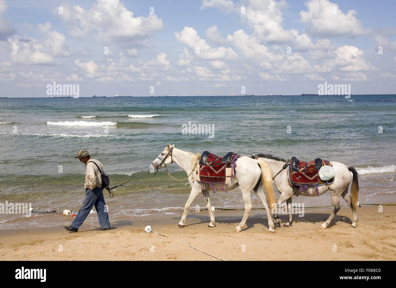 Man riding horses on beach while on vacation in Kilyos, Istanbul ...