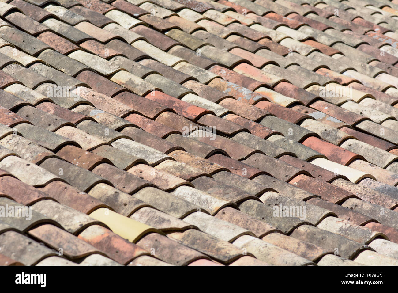 Curved roof on barn hi-res stock photography and images - Alamy