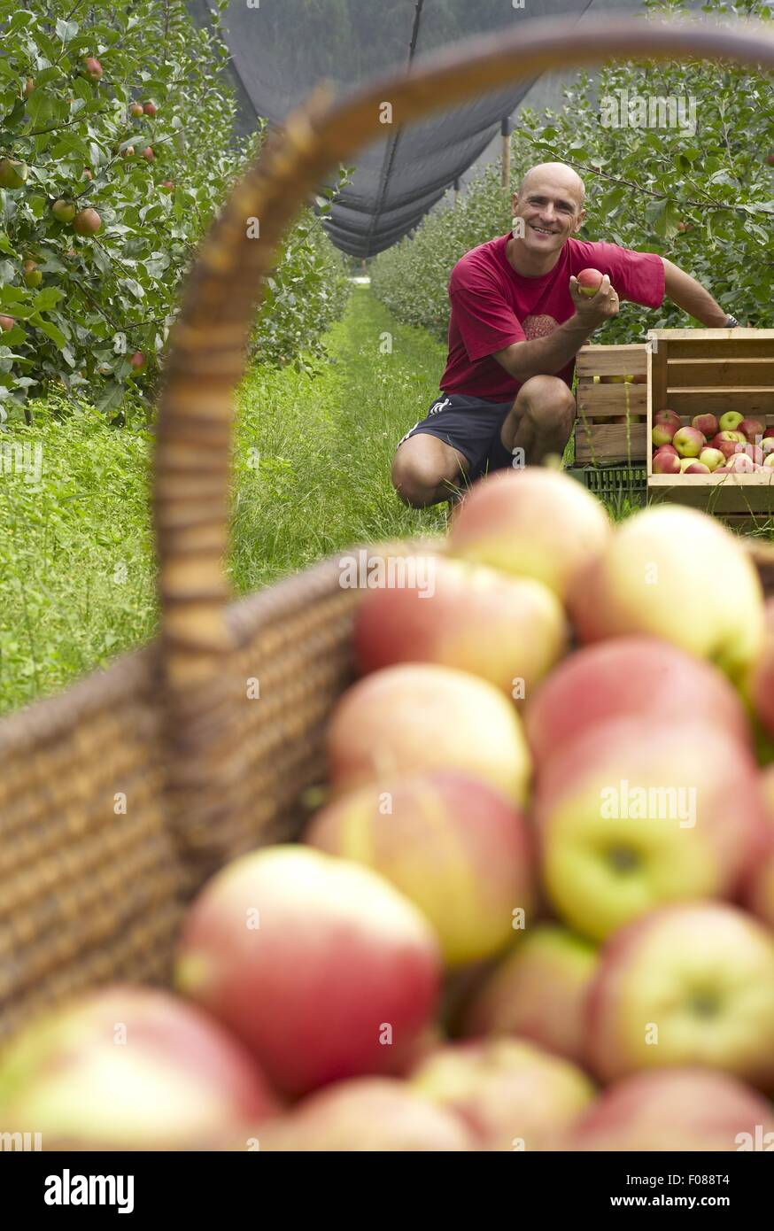 Apple tree public house hi-res stock photography and images - Alamy