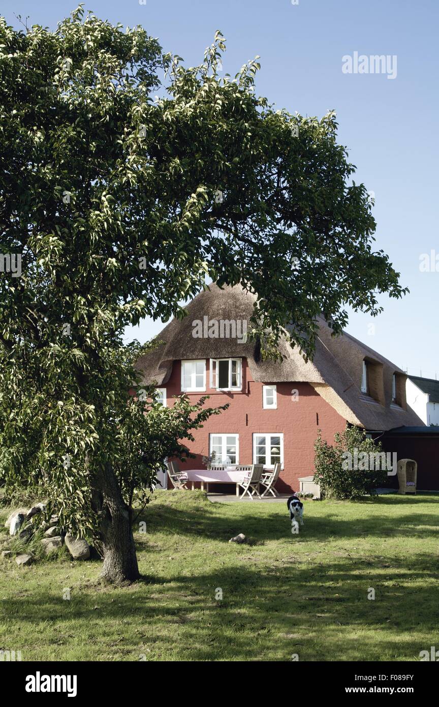 Cottage with thatched and gable roof with garden in front Stock Photo ...