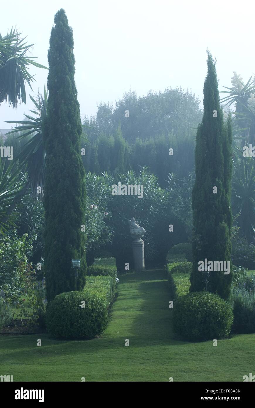 Spanish garden with two cypress trees and fog Stock Photo - Alamy