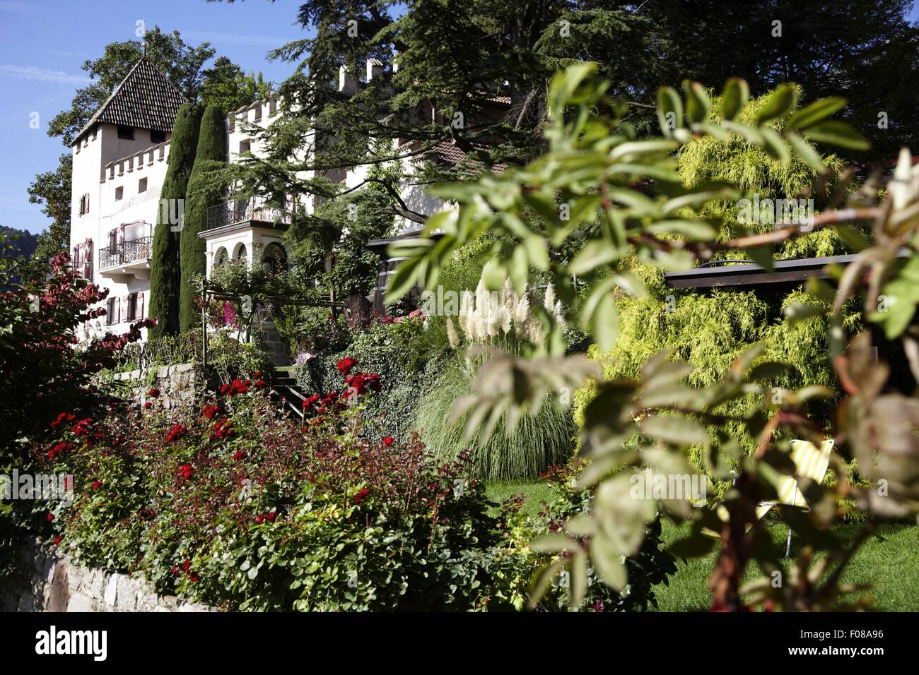 Algund plars hi-res stock photography and images - Alamy