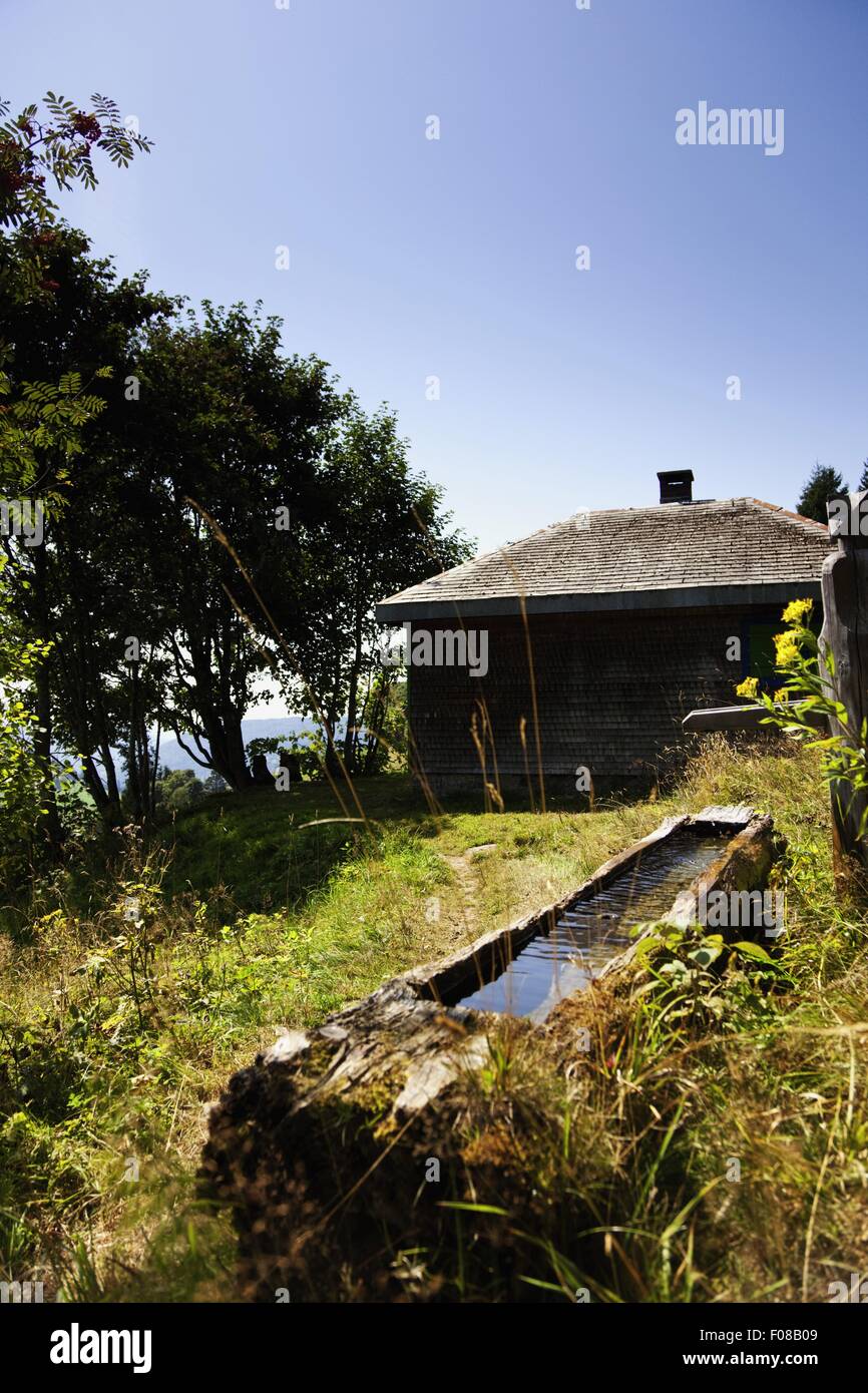 View of Todtnauberg hut, Black Forest, Germany Stock Photo - Alamy