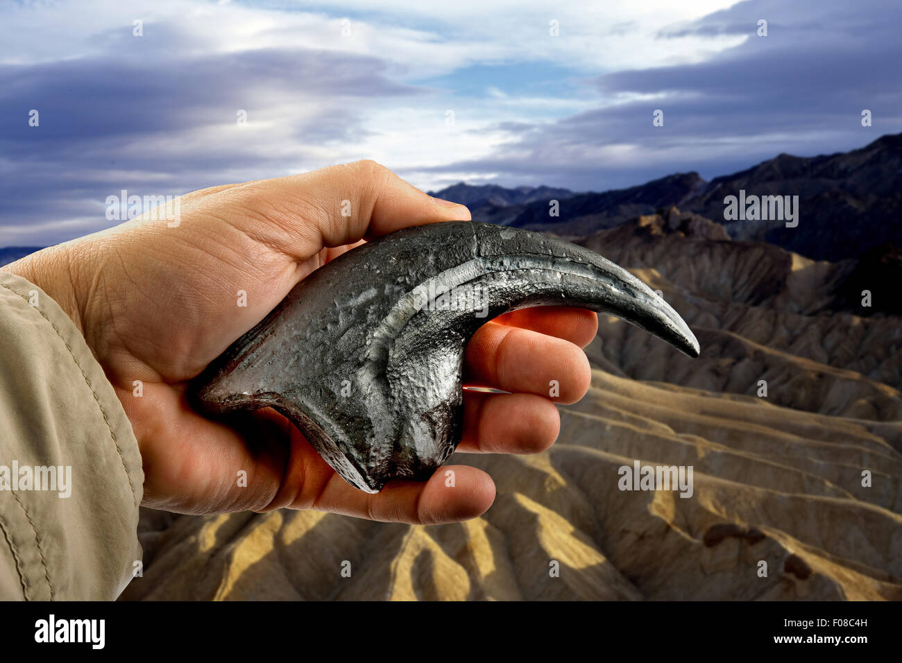Velociraptor claw hi-res stock photography and images - Alamy