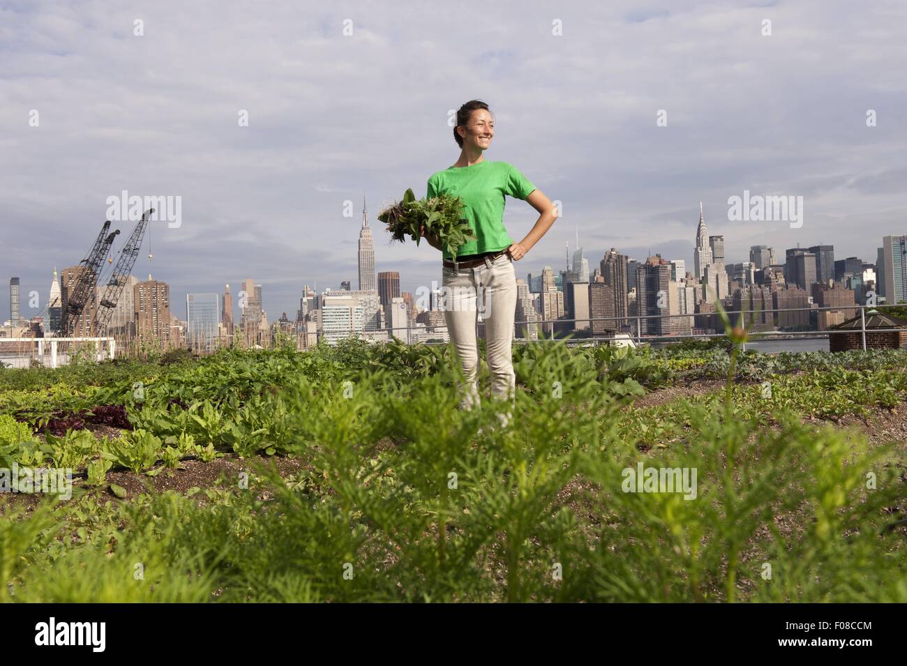 Annie Novak glancing at rooftop garden with skyline in background, New ...