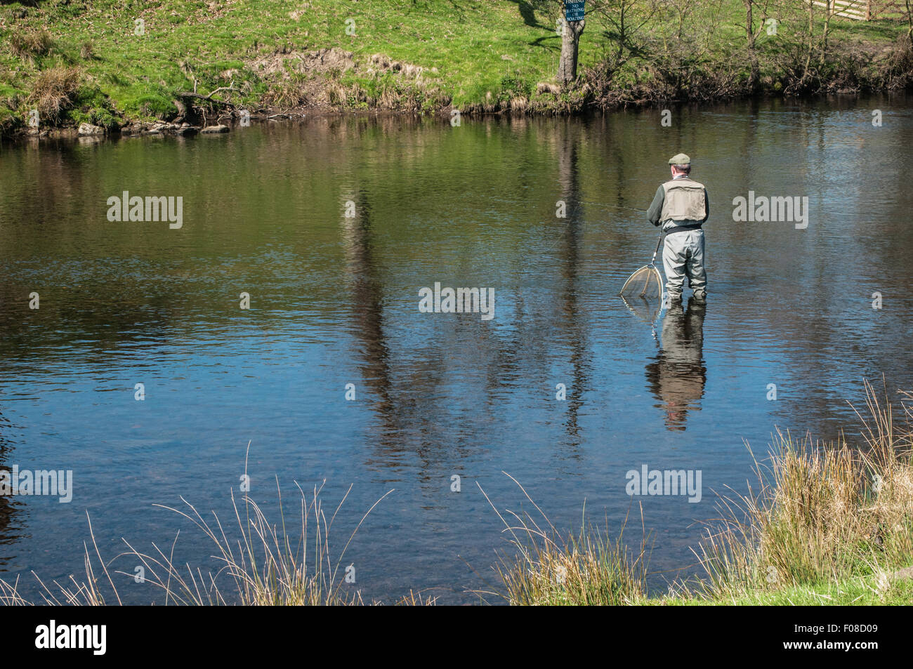casting in fly Fishing wading in the water Trout Fishing on the river ...