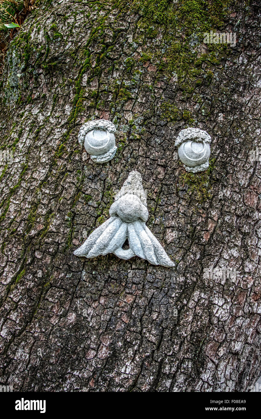 Tree face in nature hi-res stock photography and images - Alamy