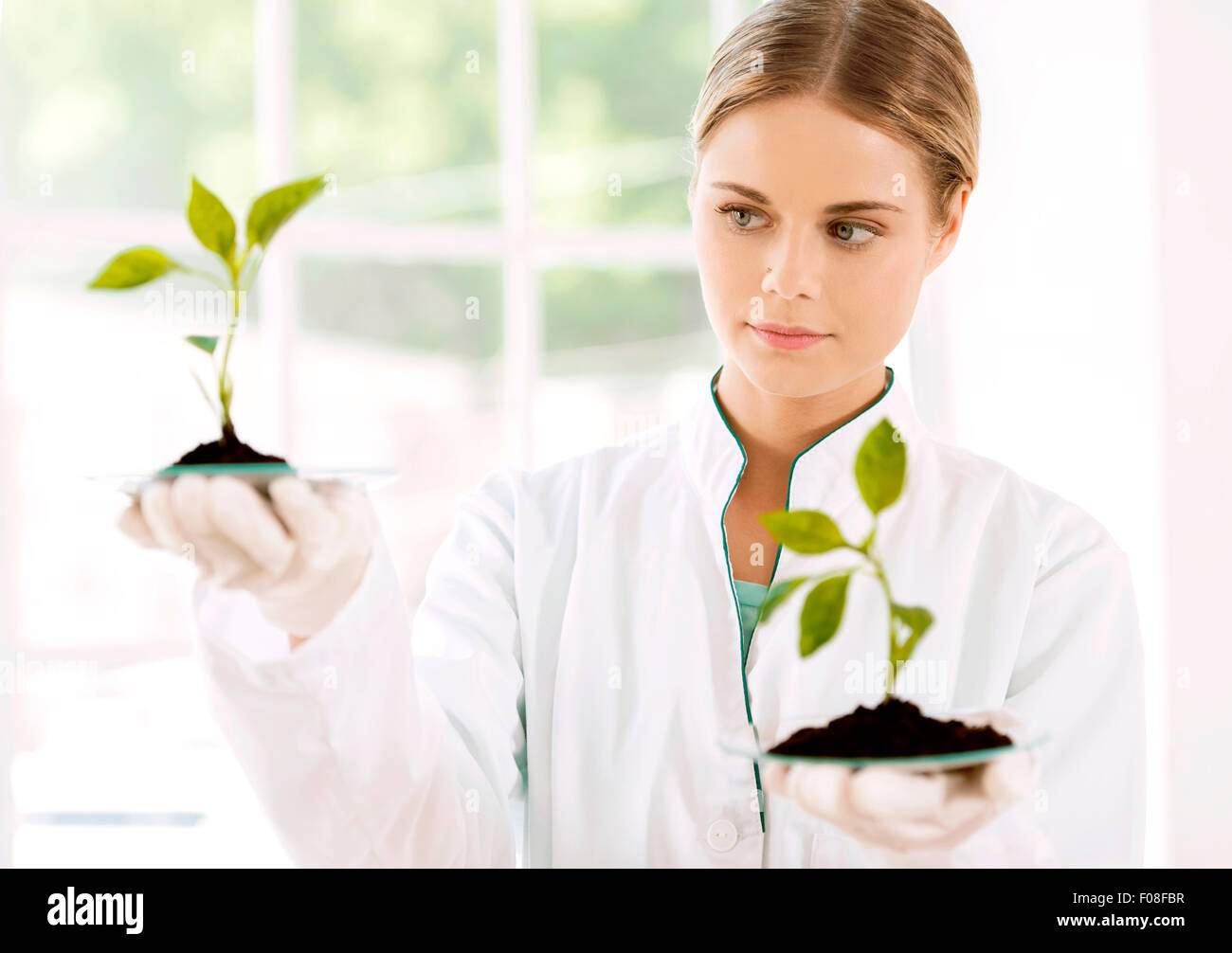Biologist working in laboratory scientist hi-res stock photography and ...