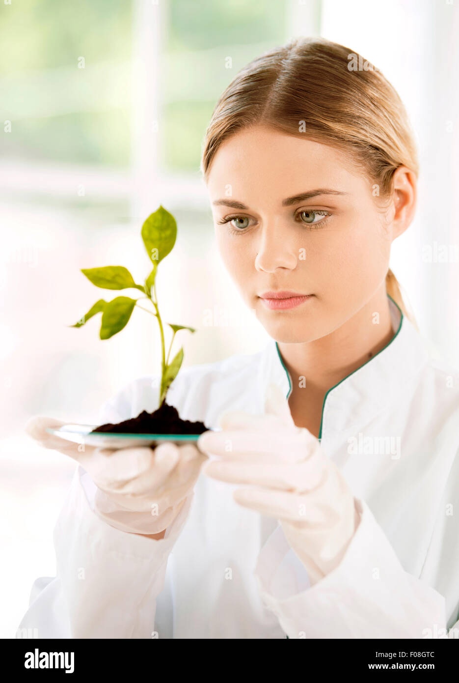 Biologist hi-res stock photography and images - Alamy