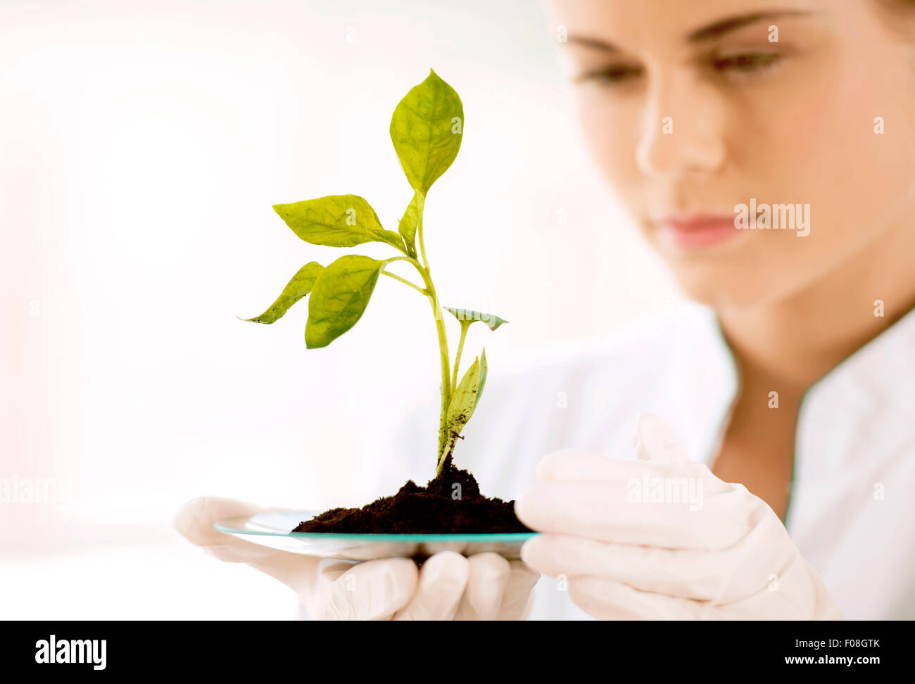 Biologist plant growth hi-res stock photography and images - Alamy