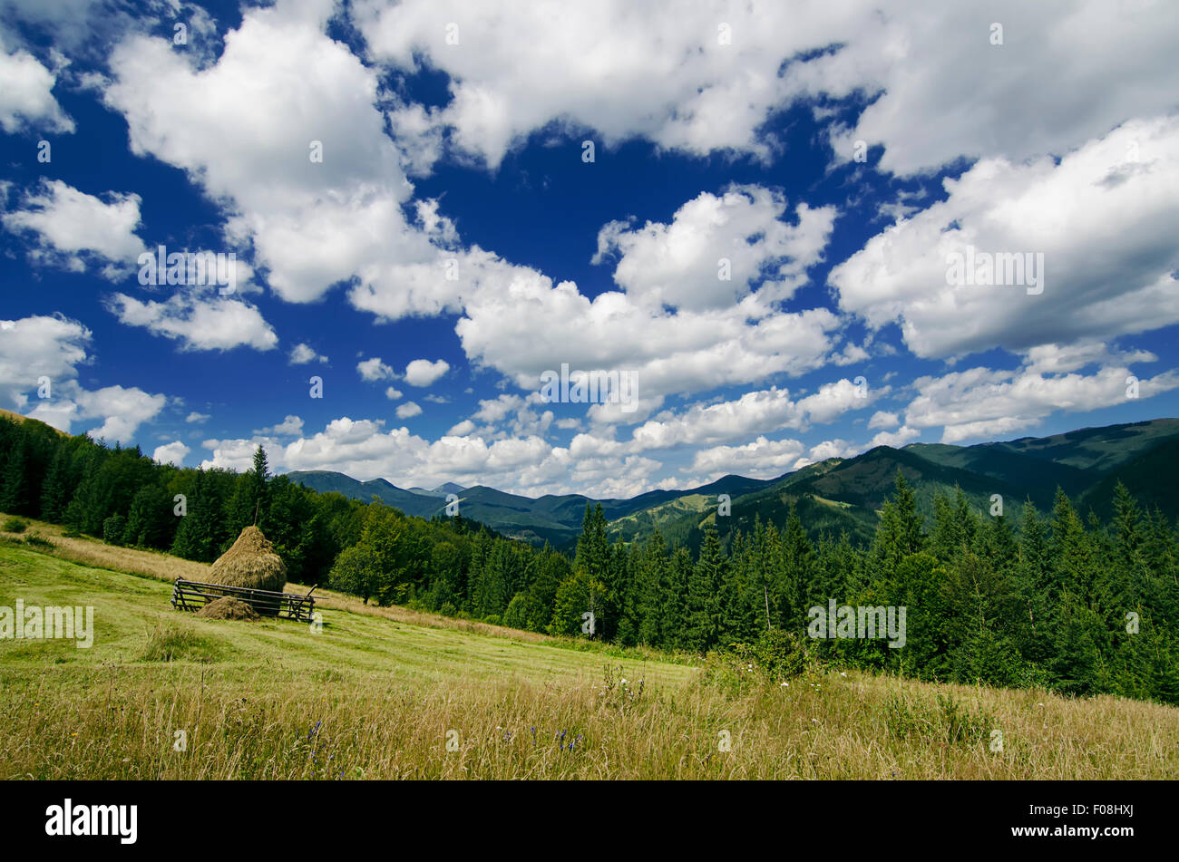 Carpathian mountain landscape Stock Photo - Alamy