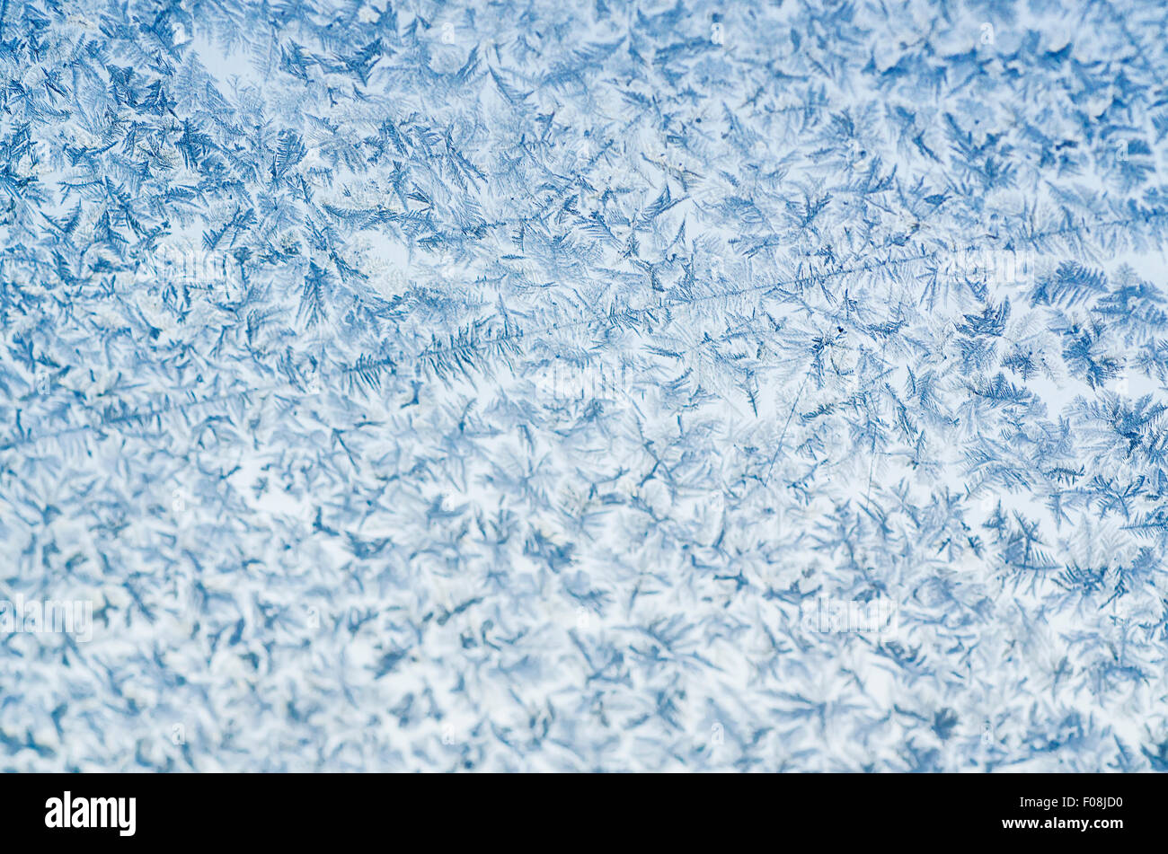 Winter iced background Stock Photo - Alamy