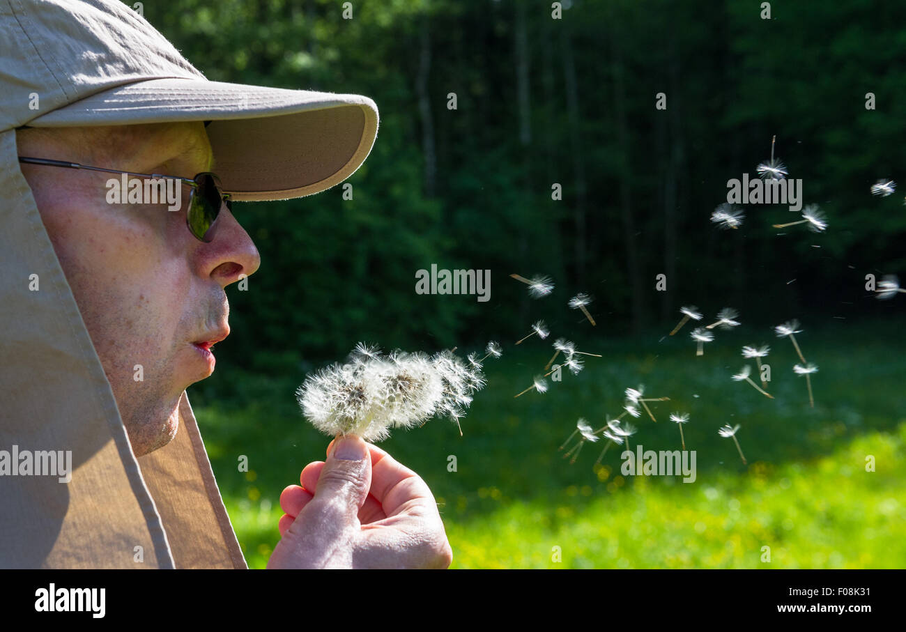 Airborne seeds hi-res stock photography and images - Alamy