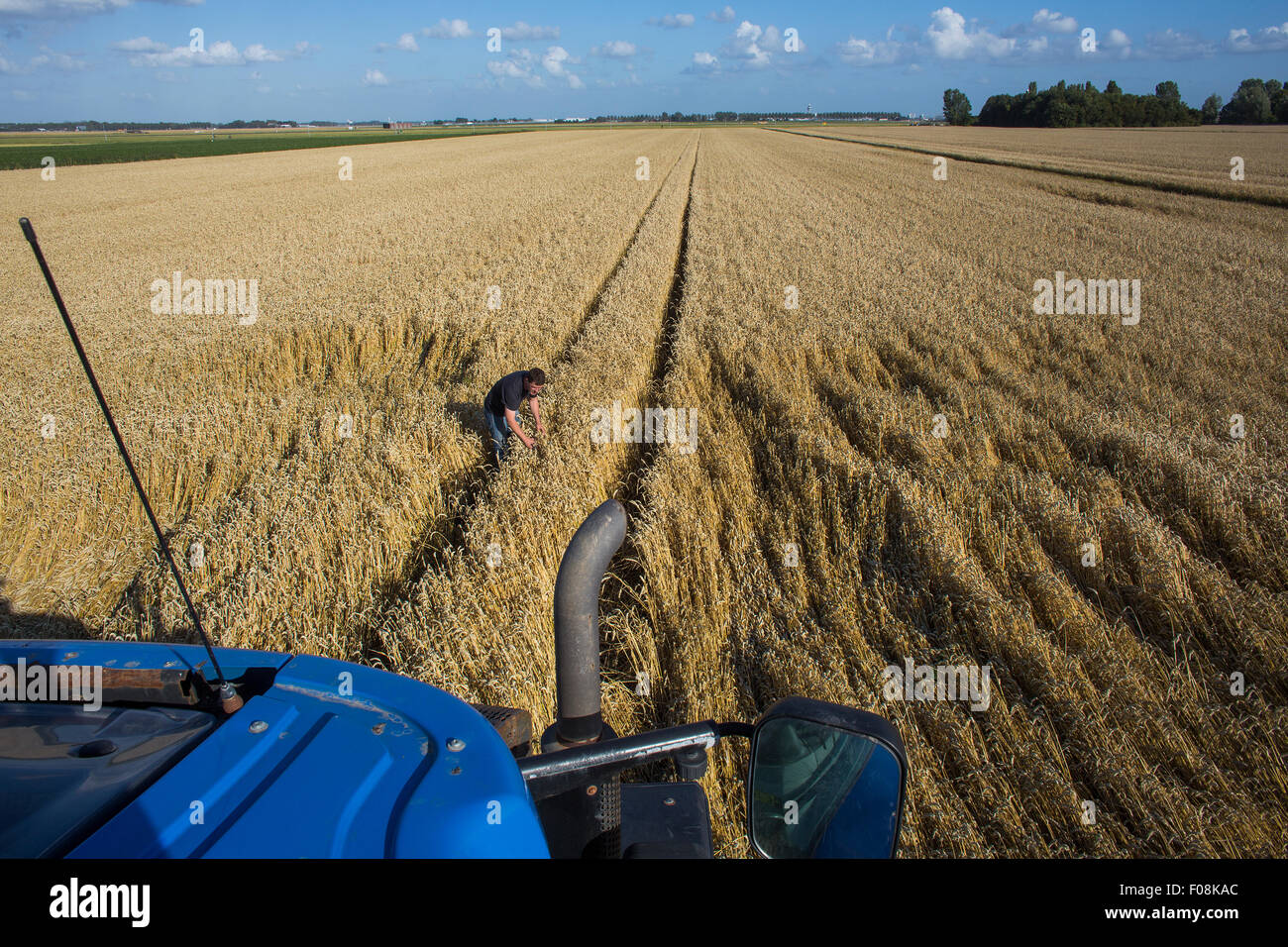 Agriculture land in the Netherlands Stock Photo - Alamy