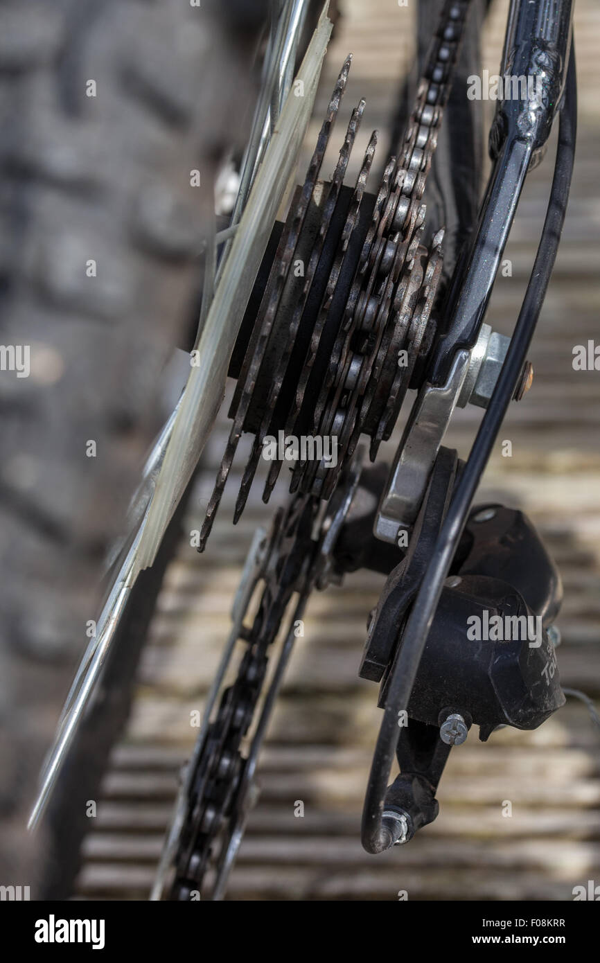 Cycle rear chain sprocket Stock Photo - Alamy