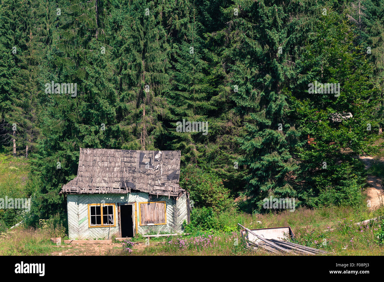 old wooden house in the Carpathian forest Stock Photo - Alamy