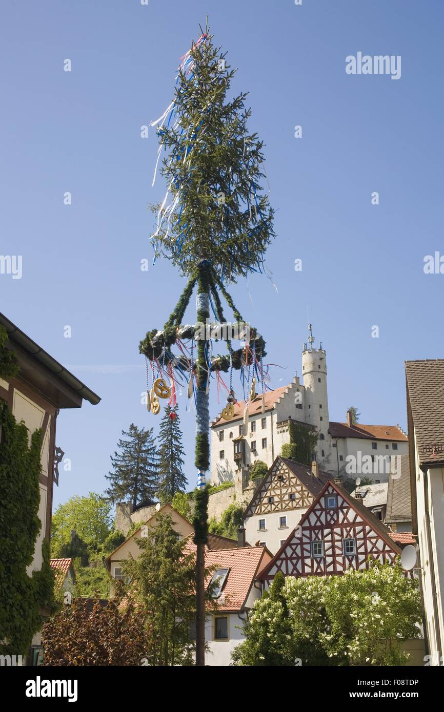 Christmas tree in Nature Park, Franconian Switzerland, Bavaria, Germany ...