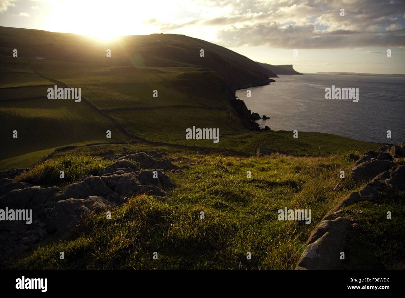 Torr head hi-res stock photography and images - Alamy