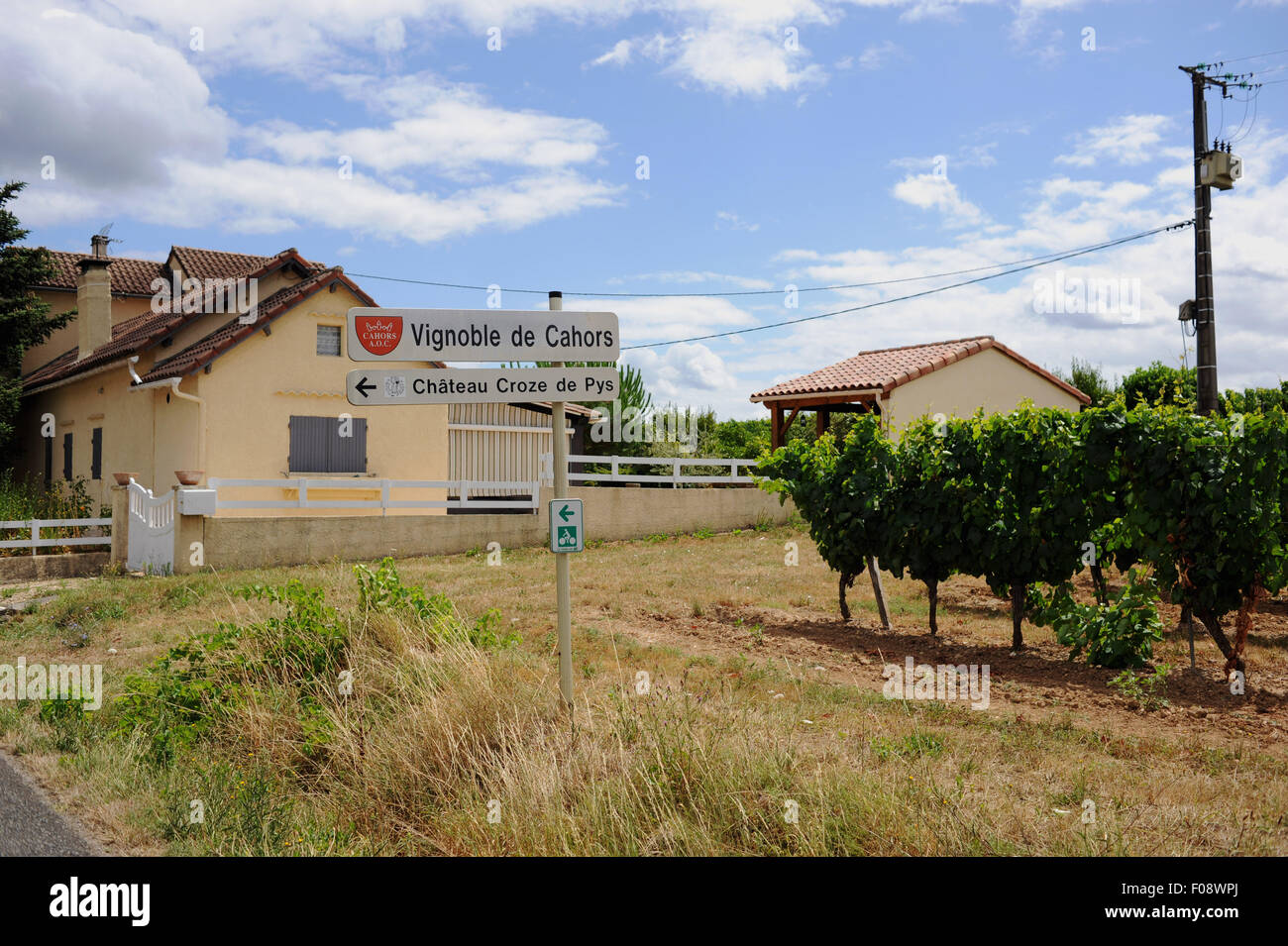 Typical vineyard of South West France in the Cahors region growing the ...