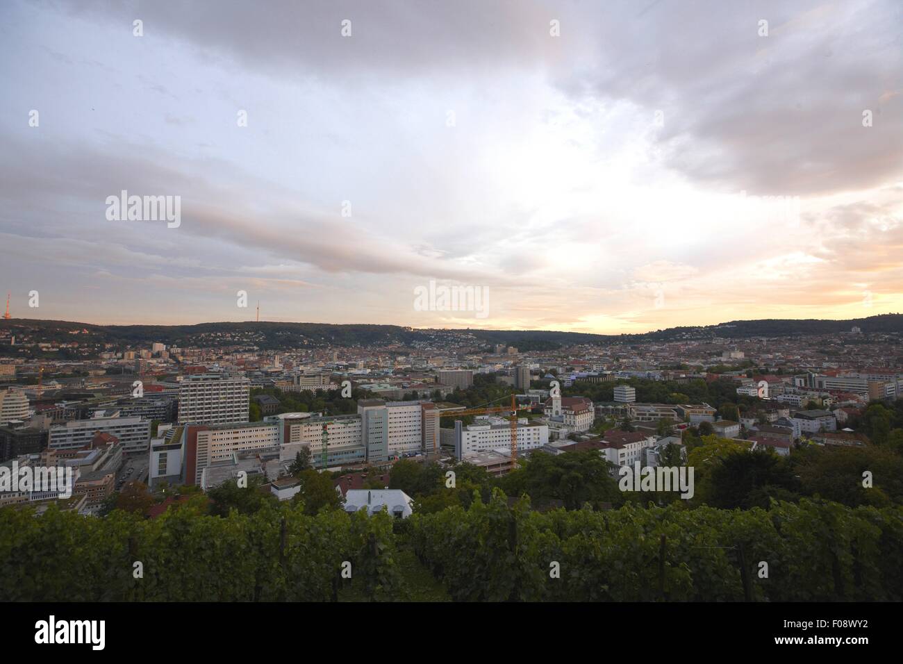 View of vineyard and cityscape in Stuttgart, Germany Stock Photo - Alamy