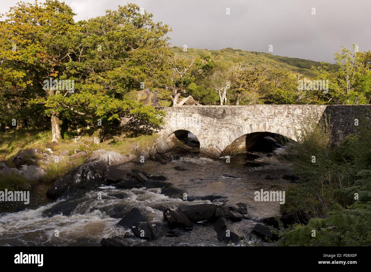 View of Killarney National Park bridge in Ring of Kerry, Ireland Stock ...