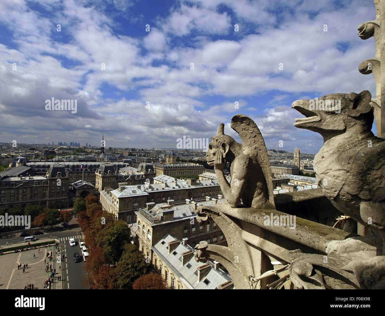 Mythical creatures of Notre-Dame against cityscape of Paris, France ...