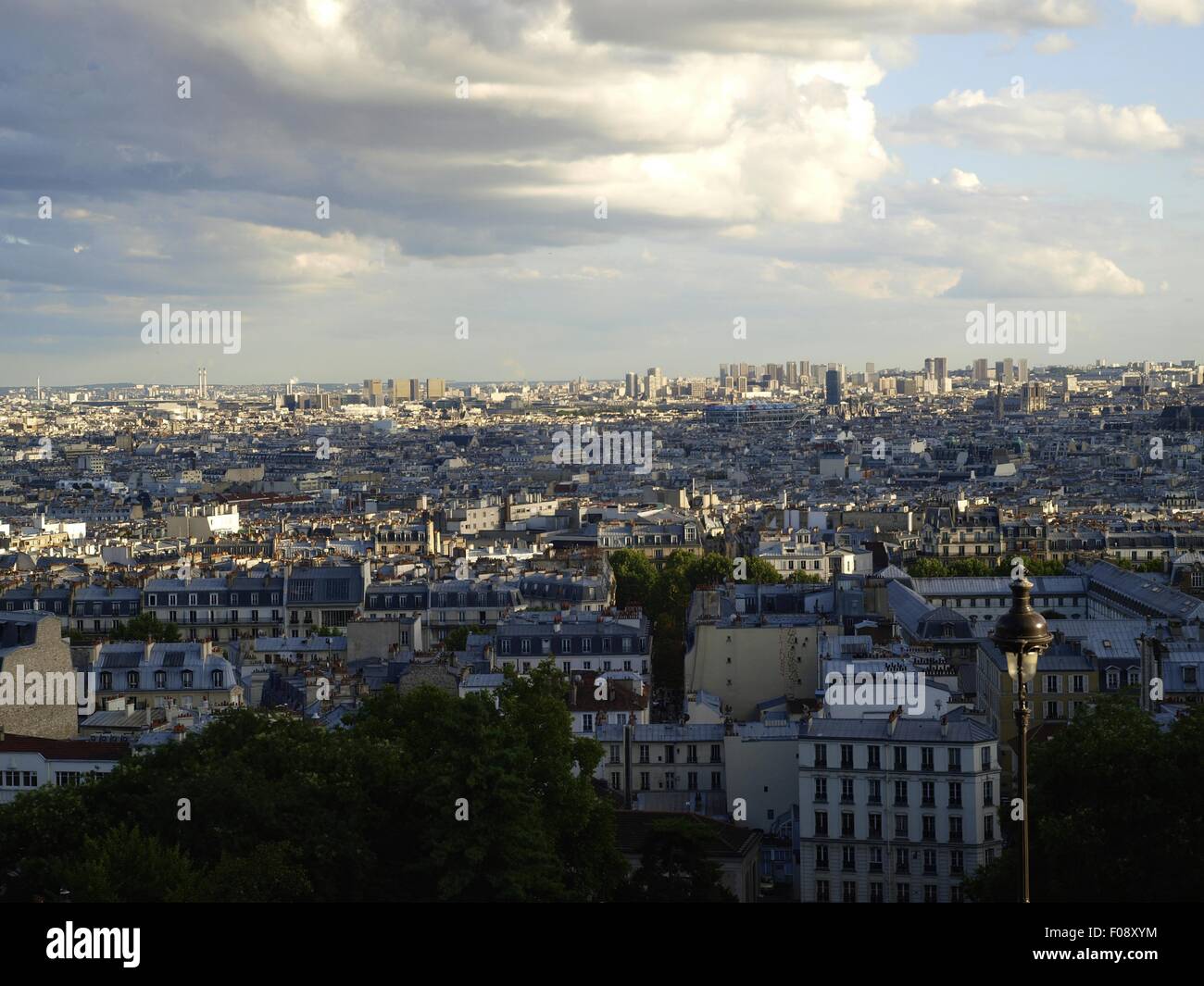 City birds of paris hi-res stock photography and images - Alamy