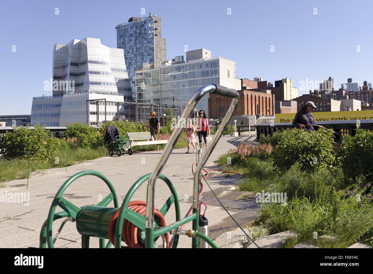 People and gardener on the High Line in New York, USA Stock Photo - Alamy