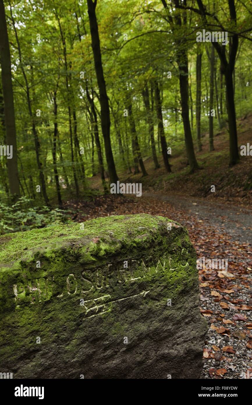 Green moss on Philosopher's stone at Heidelberg, Germany Stock Photo ...