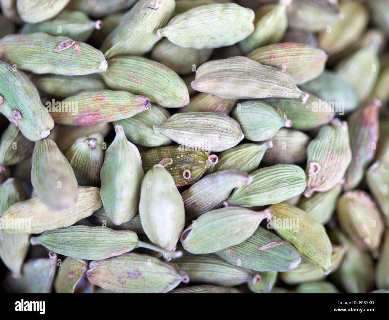 green cardamom seeds close up background Stock Photo - Alamy