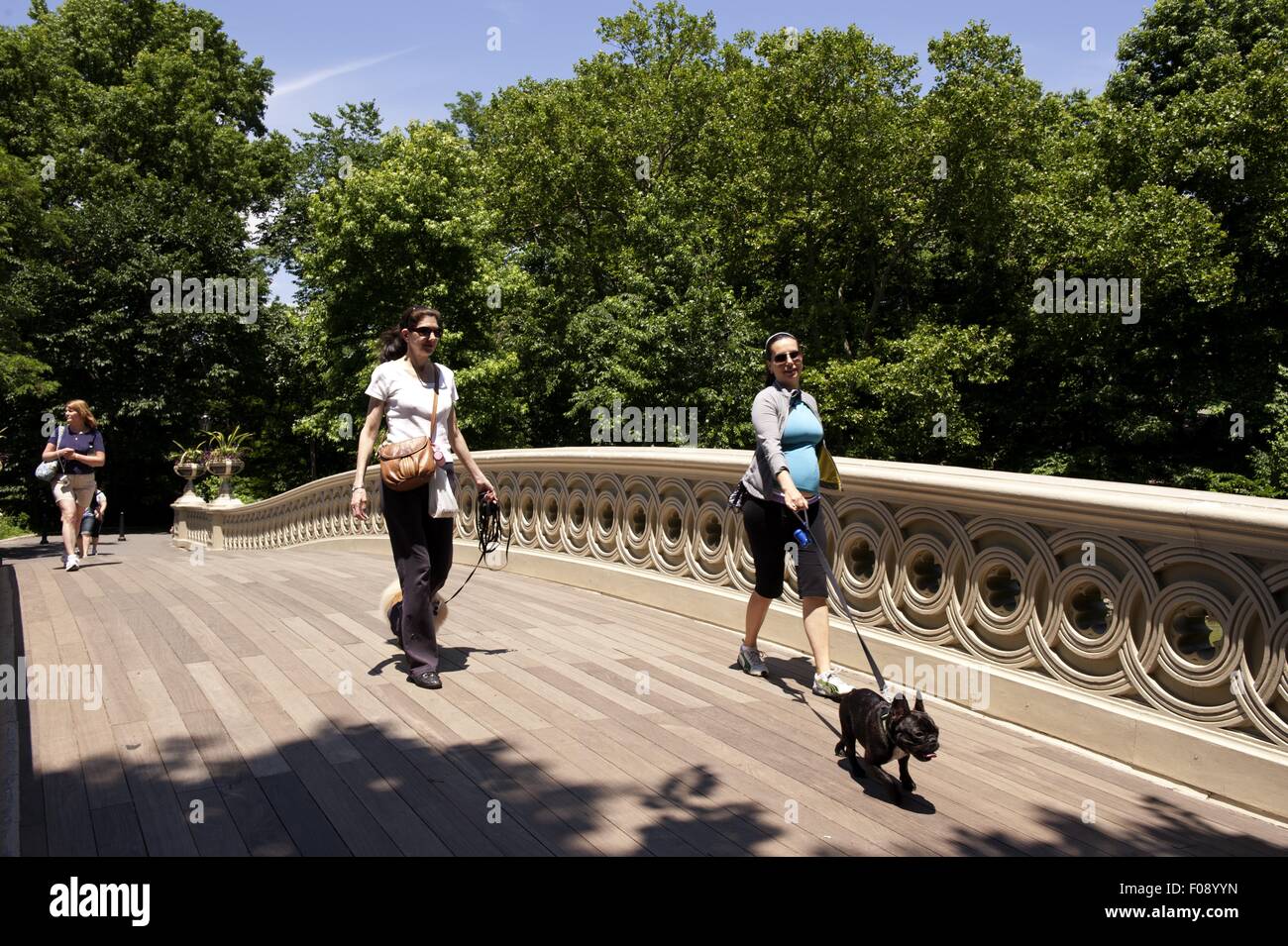 People walking on bridge at Central Park, New York, USA Stock Photo - Alamy