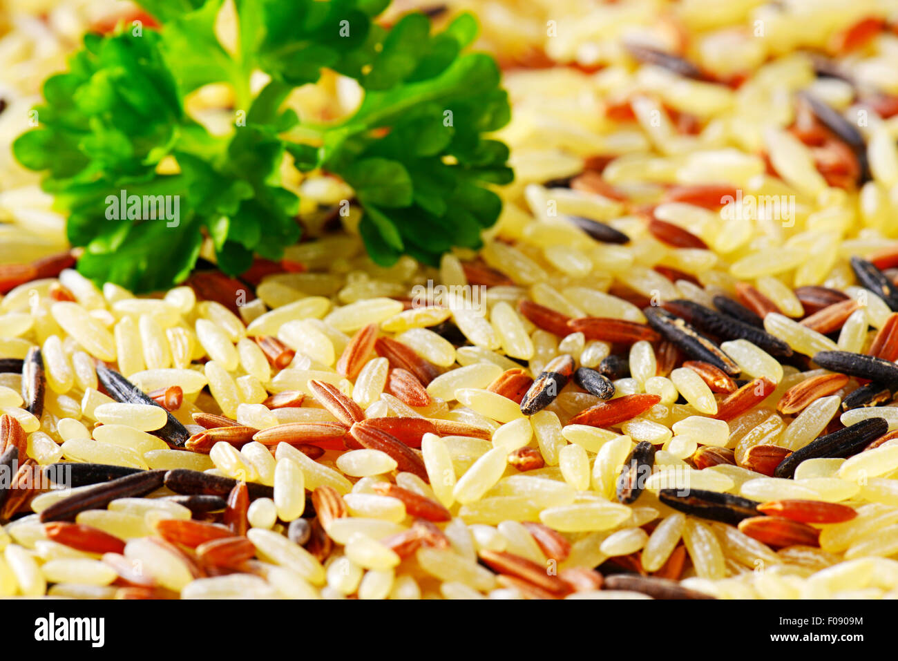 Long grain and wild rice mix Stock Photo - Alamy