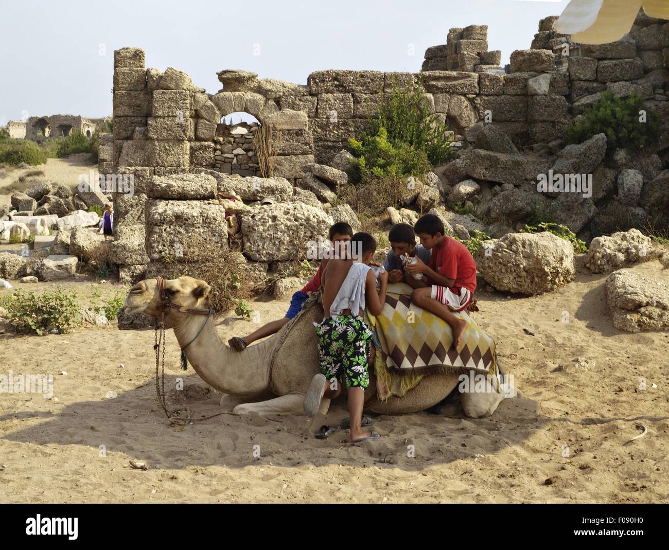 Children with camel hi-res stock photography and images - Alamy