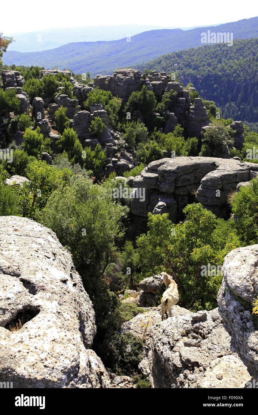 Elevated view of karst rock formations at Selge, Pisidia, Turkey Stock ...