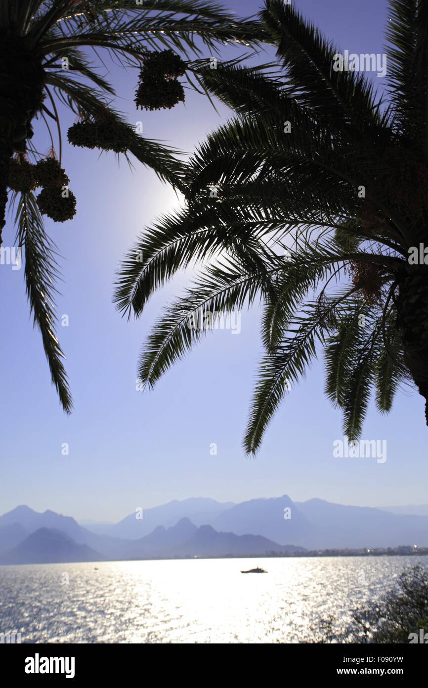 View of mountain range and palm trees in Antalya, Turkey Stock Photo ...