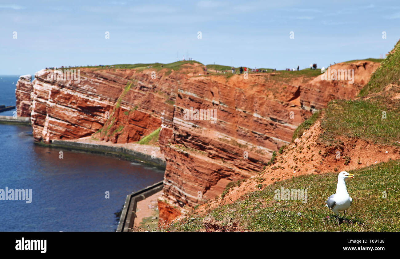 Heligoland island hi-res stock photography and images - Alamy